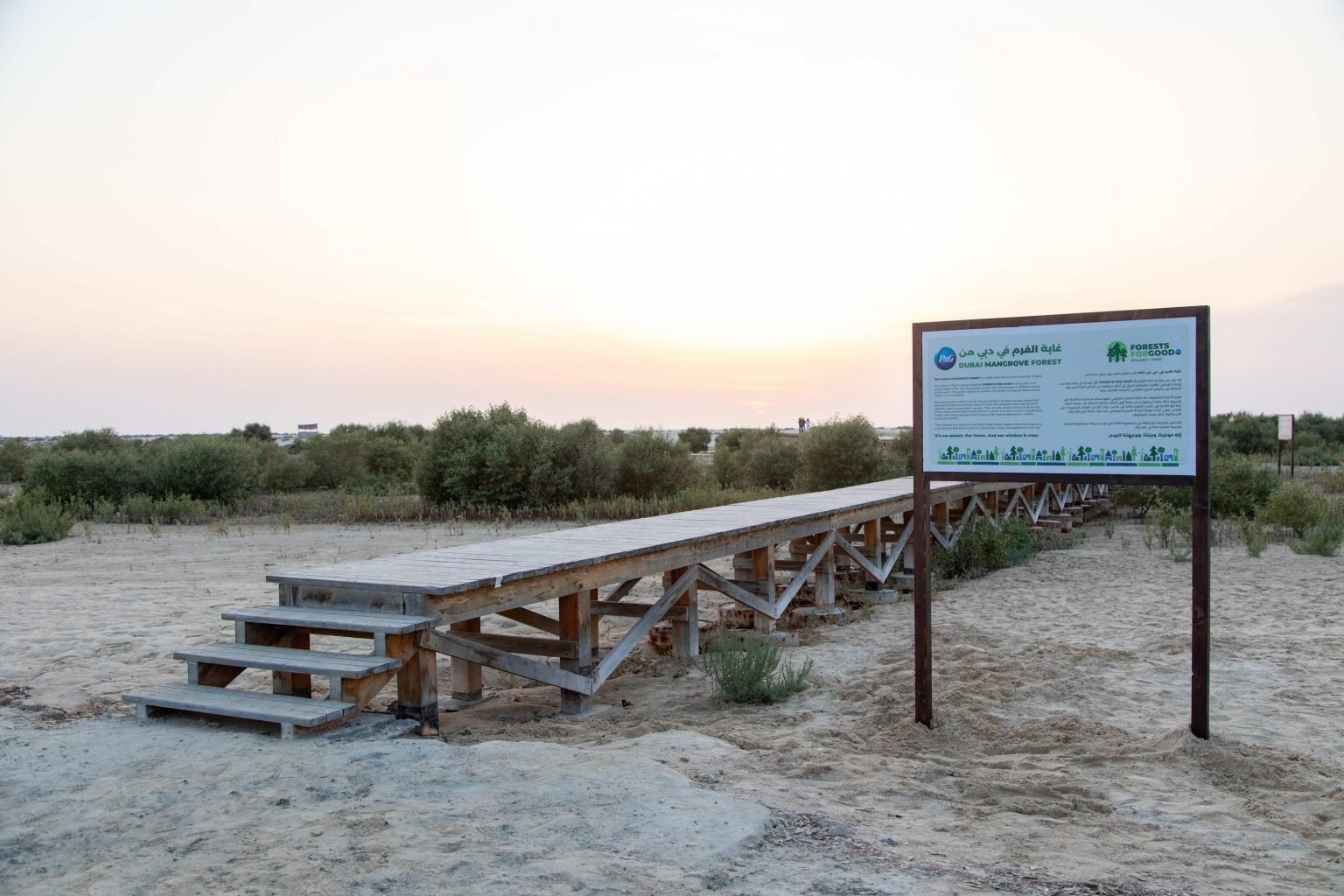 P&G Strengthens Forest For Good Initiative With Tree-Planting Campaign ...